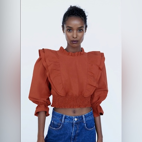 Zara | Tops | Zara Long Sleeve Ruffled Smocked Puff Sleeve Top | Poshmark